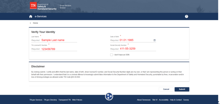 Check a TN Driver’s License Status - TN DMV